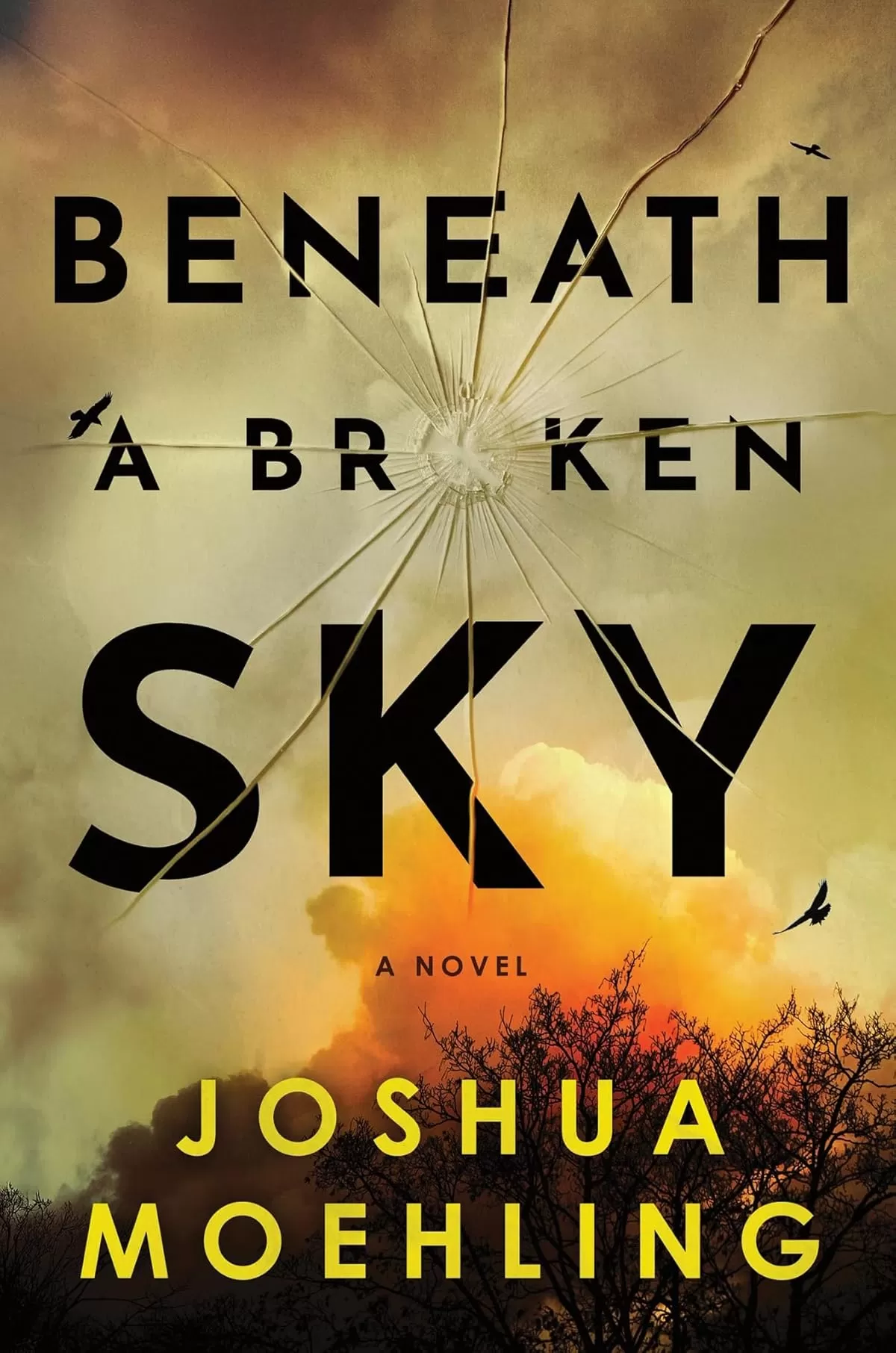 Beneath a Broken Sky (Ben Packard #4) by Joshua Moehling