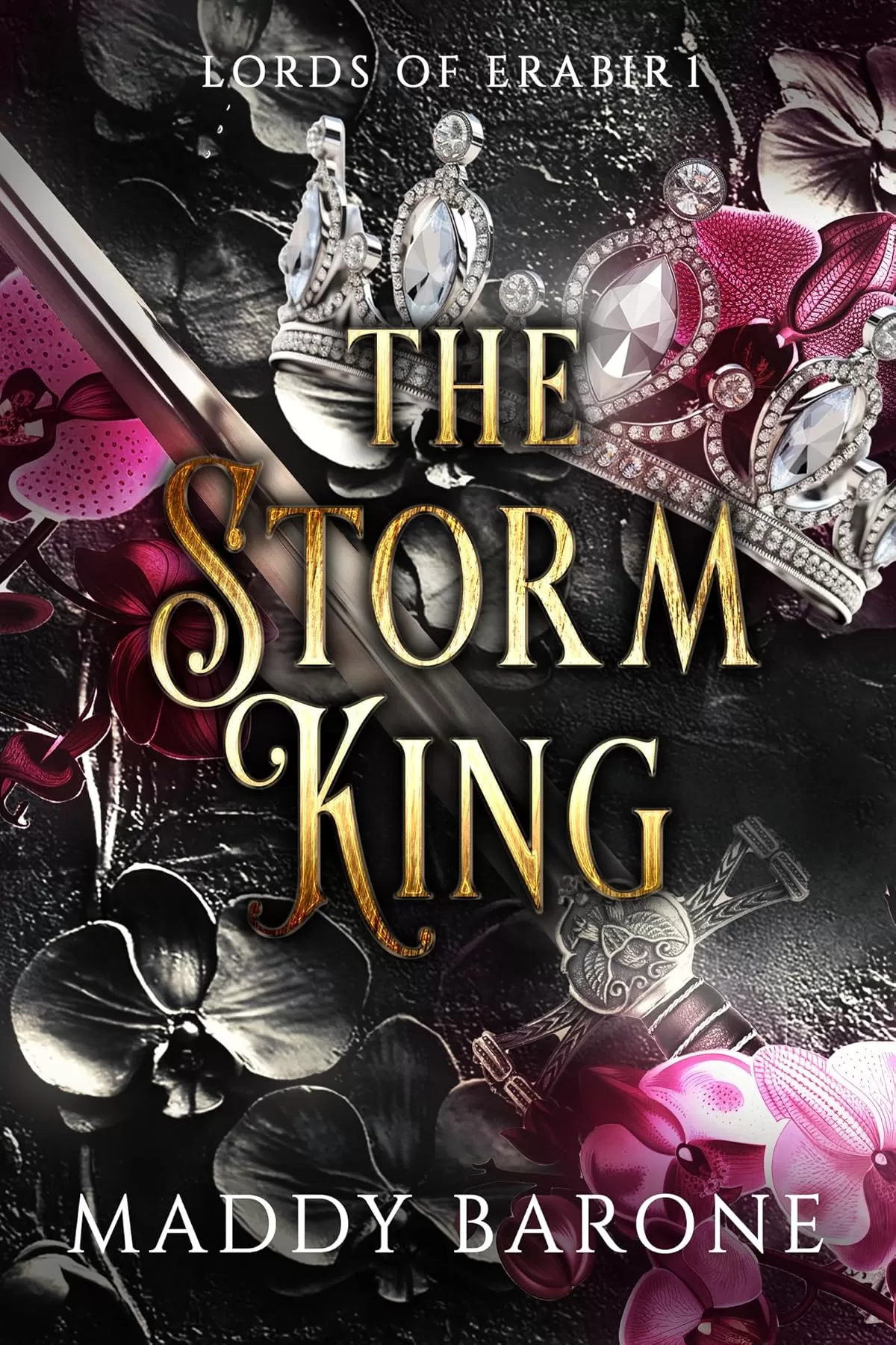 The Storm King (Lords of Erabir #1) by Maddy Barone